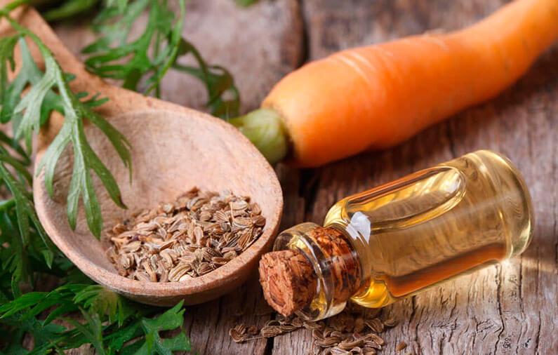 Bronceado natural ¡Con zanahorias! - Hoteles Boutique de Mexico